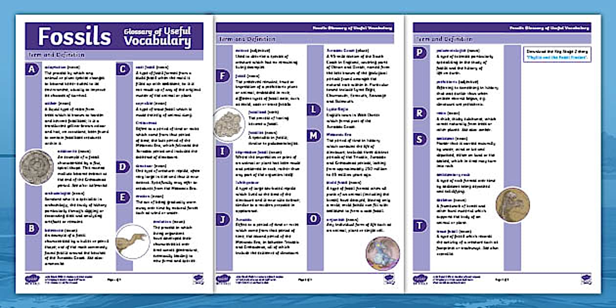 Fossils Glossary of Key Topic Vocabulary